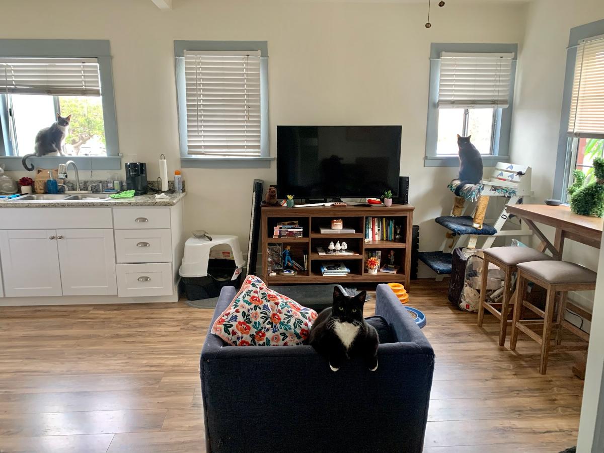 Why domestic violence survivors like me won’t leave their abusers if ...