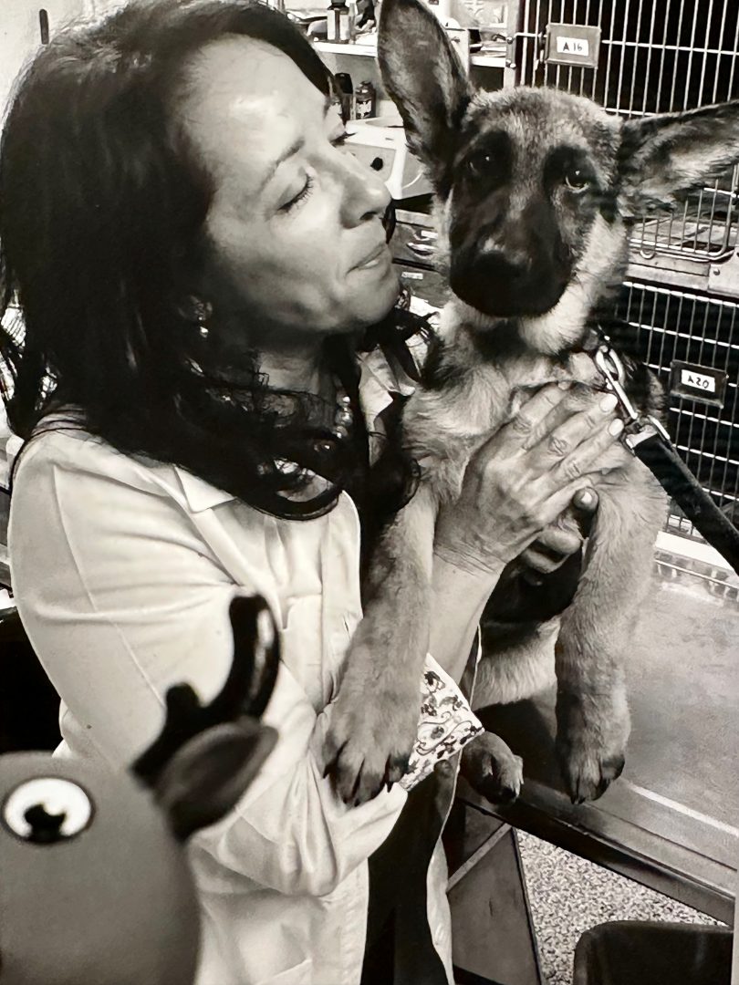 Why the death of the LASD K-9 named Spike still matters