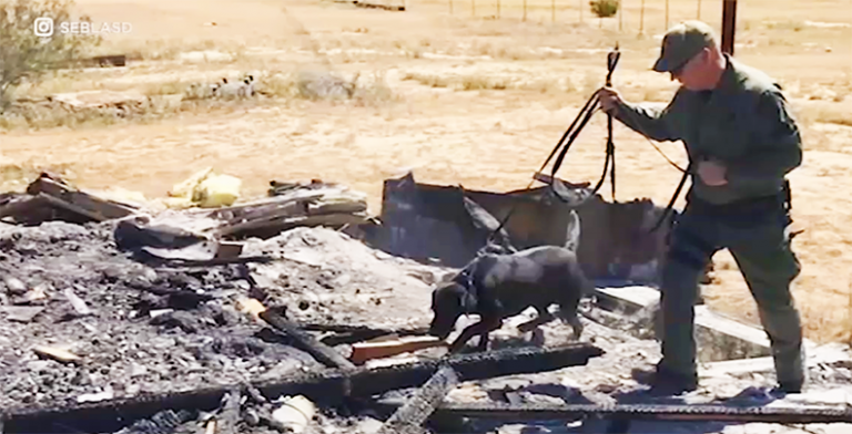 Why the death of the LASD K-9 named Spike still matters